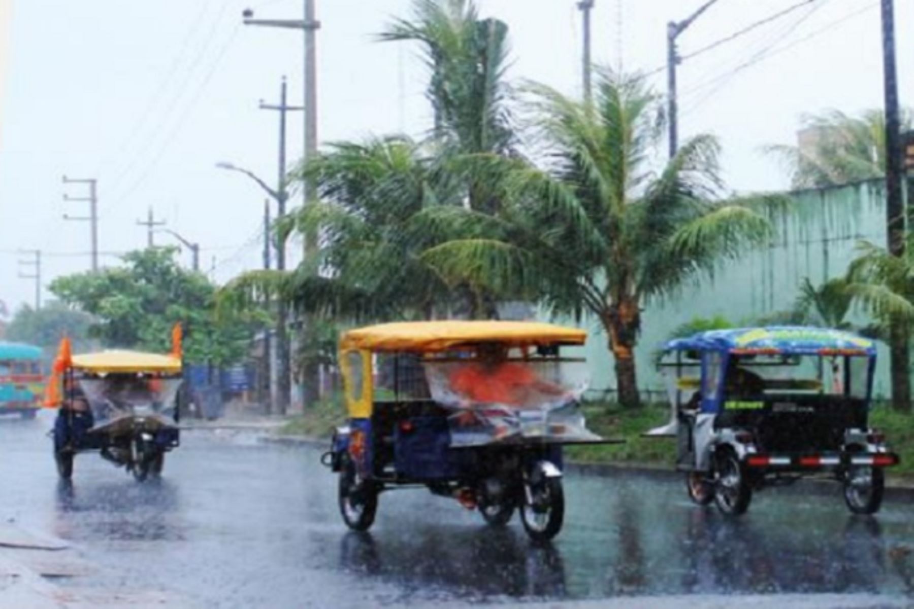 Selva norte y central soportan lluvia moderada desde ayer – Diario Ahora