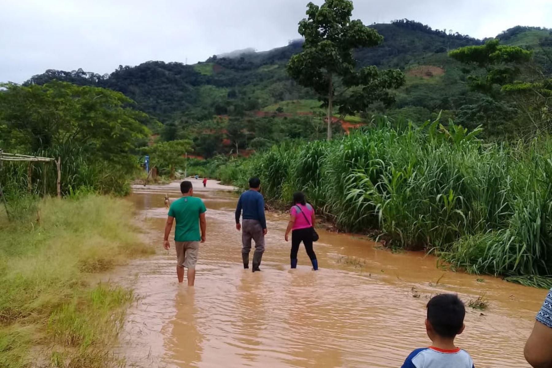Lluvia moderada a fuerte se extenderá en la Selva – Diario Ahora