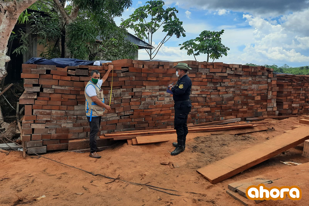 Inmovilizan 562 trozas madera rolliza en Mazán - Diario Ahora