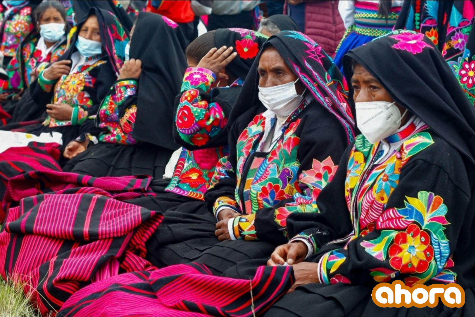 CC. indígenas son mejores guardianes de los bosques – Diario Ahora