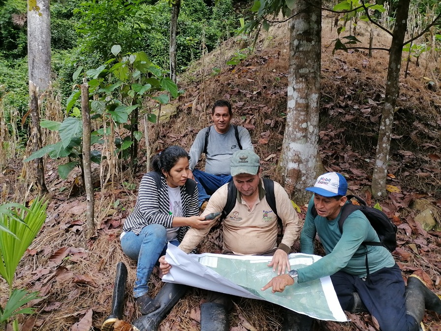 Impulsan producción de shiringa – Diario Ahora